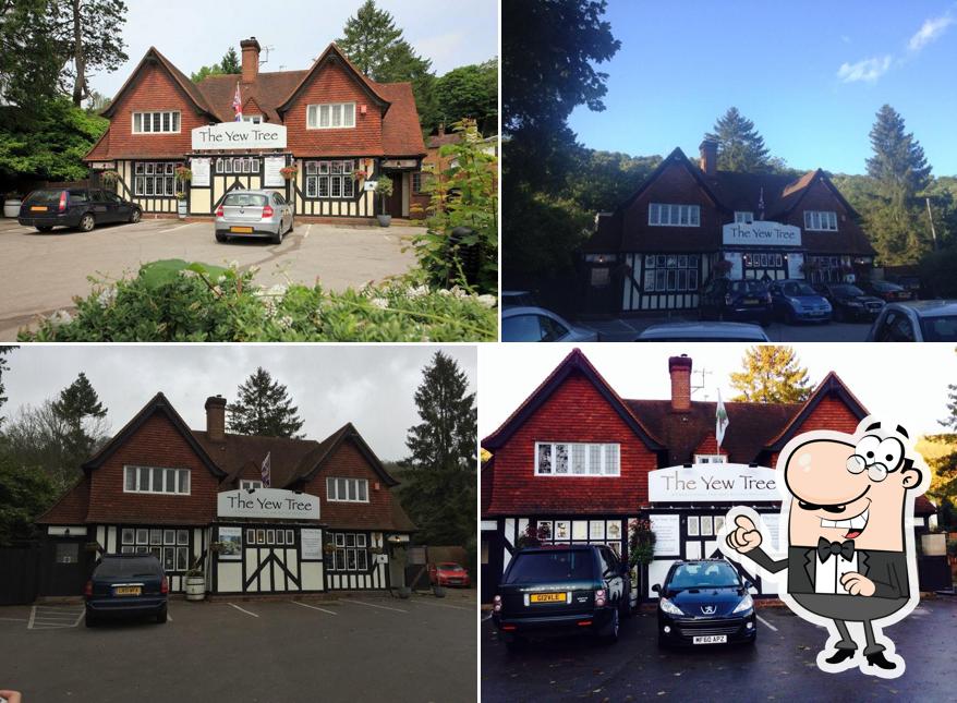 The Yew Tree, Reigate - Restaurant menu, prices and reviews