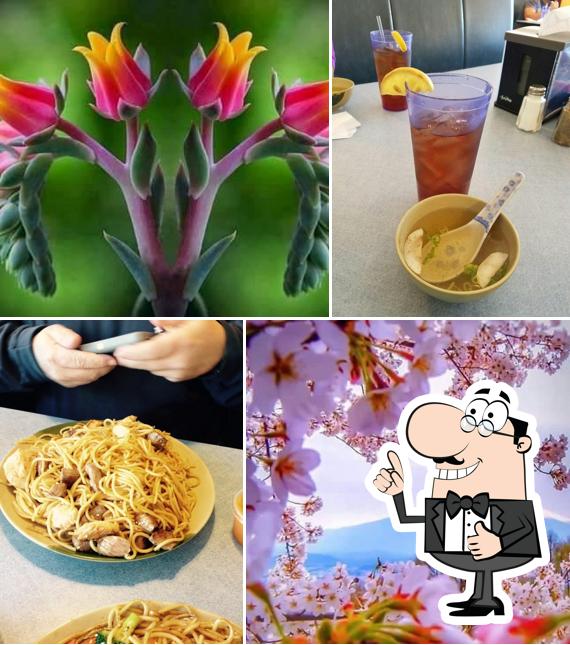 Fuji Yama, Brevard - Restaurant menu, prices and reviews