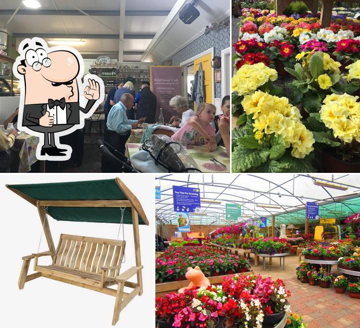 Beechdale Plants Plus Garden Centre | Fasci Garden