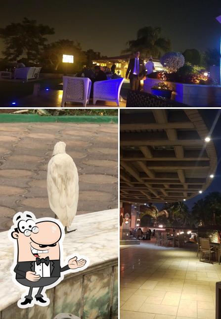 Al Masa Lounge restaurant, Egypt - Restaurant menu and reviews