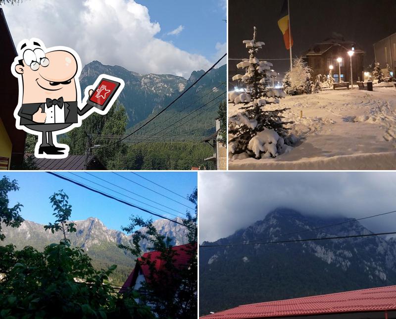 Coltul cu Flori, Bușteni - Restaurant menu, prices and reviews