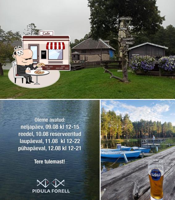 Pidula Forell cafe, Estonia - Restaurant reviews