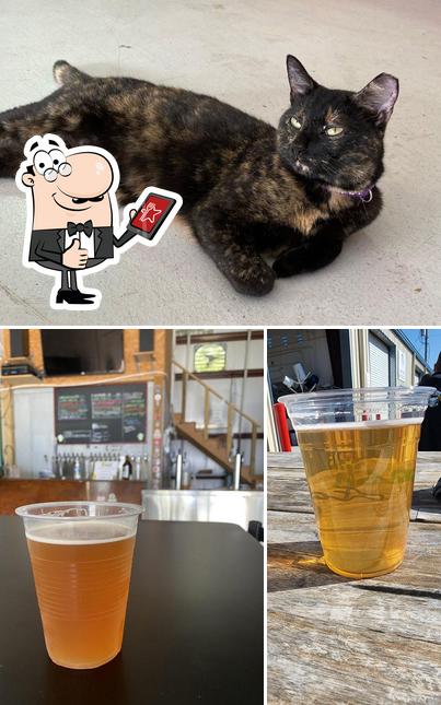 6 Wards Brewing in Dickinson