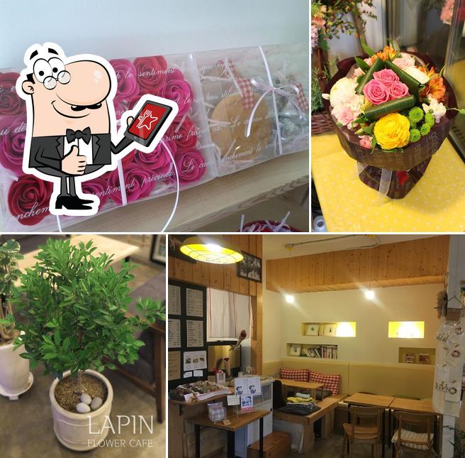 Cafe Lapin, Seoul - Restaurant reviews