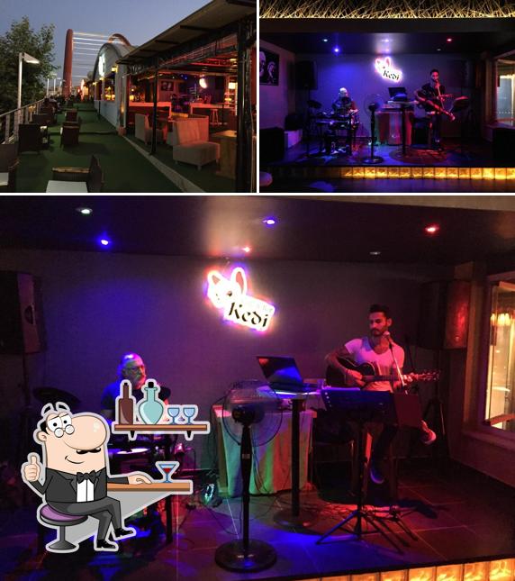 Kedi Kafe Bar, Manavgat - Restaurant reviews