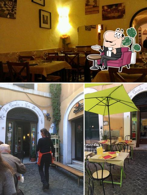 La Cicala E La Formica ristorante, Roma - Menu e recensioni del ristorante