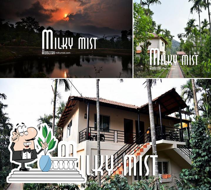 Milky Mist, Mudigere - Restaurant menu, prices and reviews