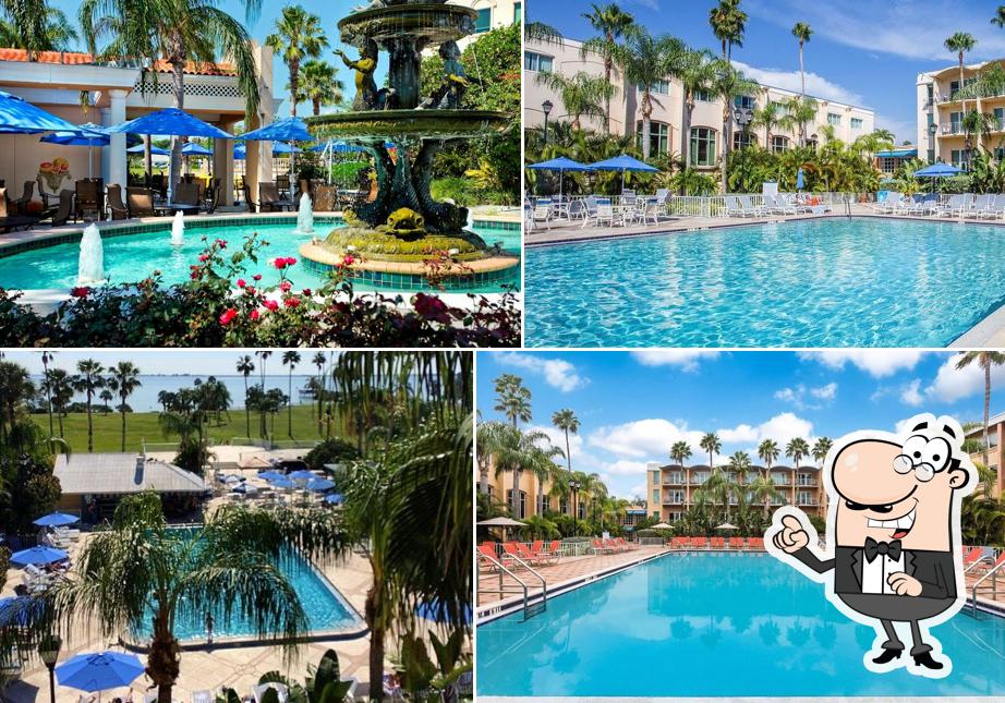Safety Harbor Resort and Spa in Safety Harbor - Restaurant menu and reviews