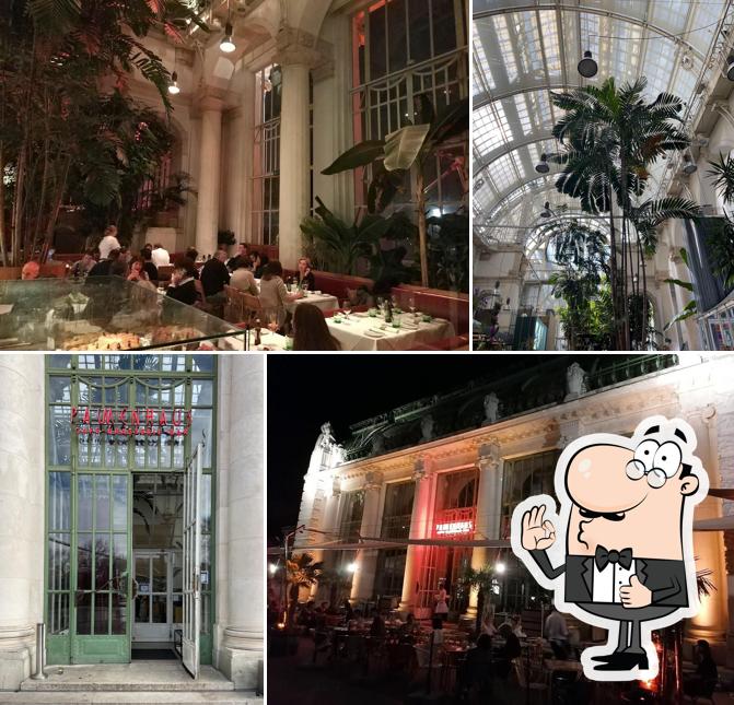 Brasserie Palmenhaus Wien, Vienna - Restaurant menu, prices and reviews