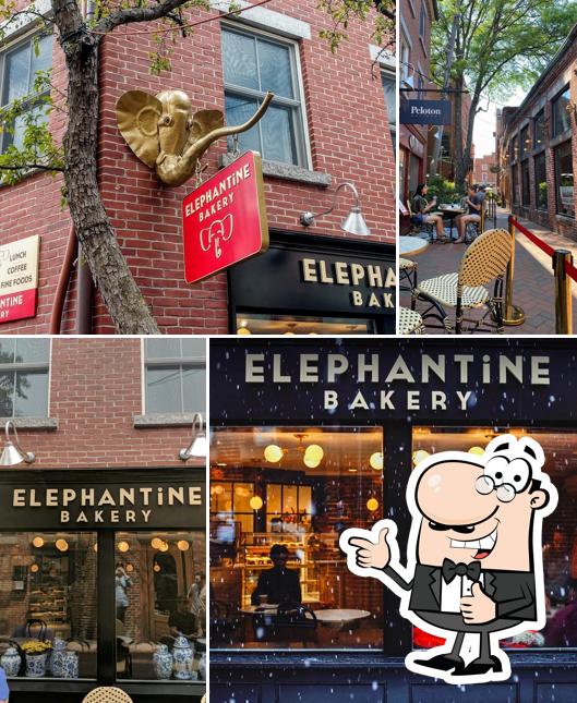 Elephantine Bakery in Portsmouth - Restaurant menu and reviews