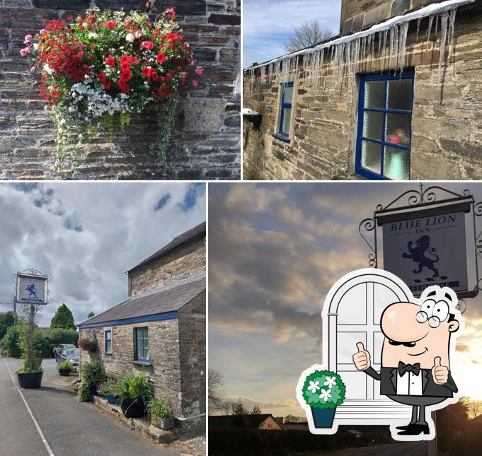 Blue Lion Inn, Lewdown - Restaurant menu, prices and reviews
