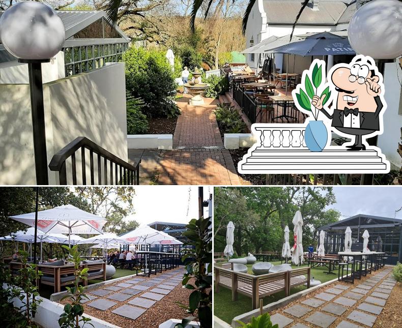 The Terrace @ D'Aria, Cape Town - Restaurant menu, prices and reviews