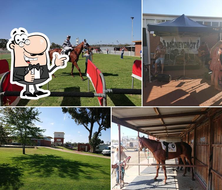 Narrogin Racing in Narrogin - Restaurant reviews