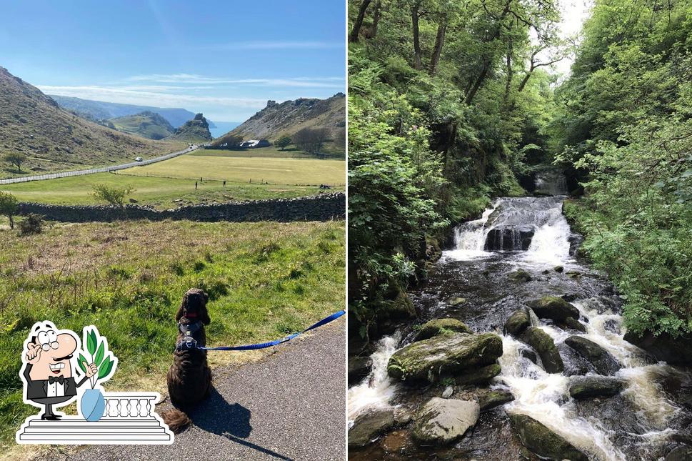 Watersmeet Tea Rooms, Lynmouth - Restaurant menu, prices and reviews