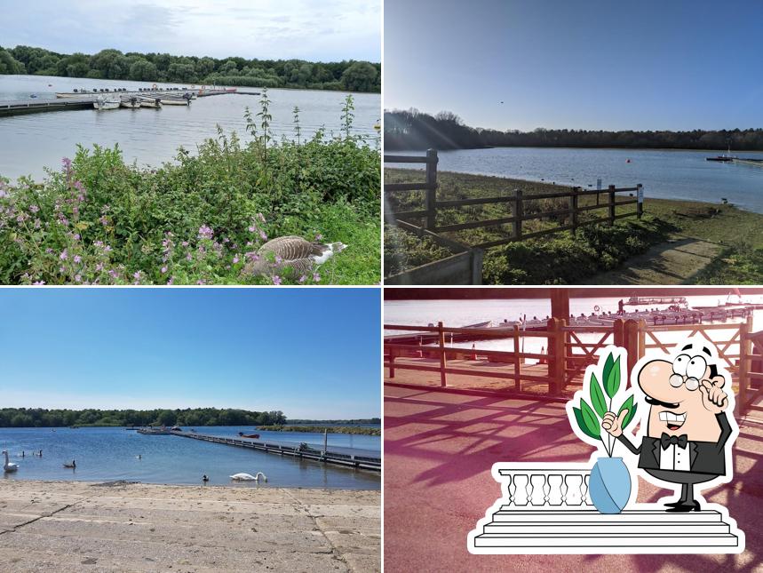Top 5 restaurants in South Hanningfield, september 2024 - Restaurant Guru