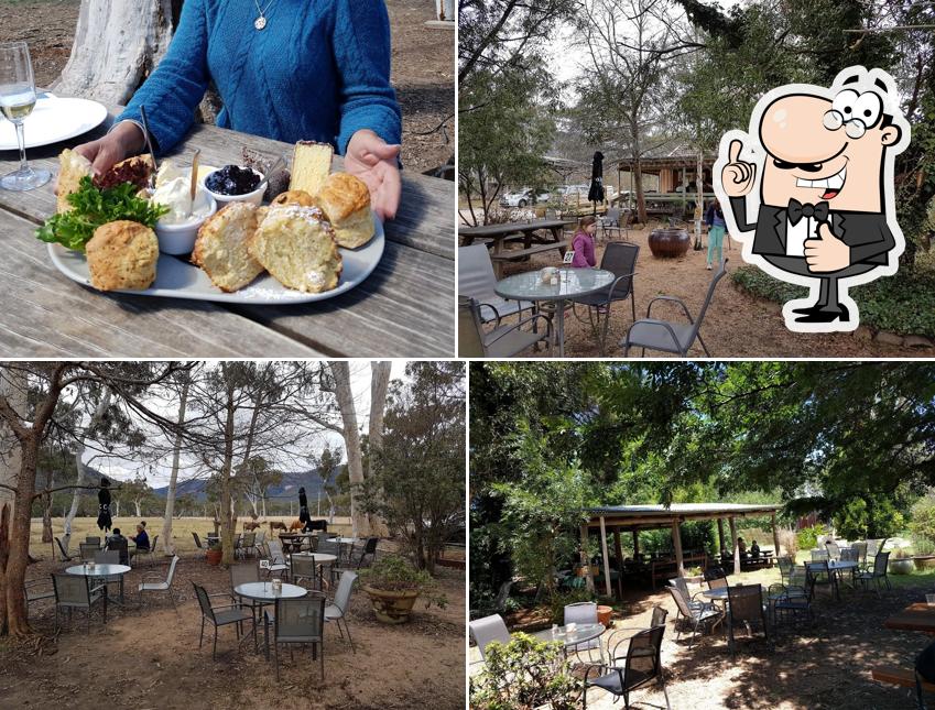 Megalong Valley Tea Rooms in Megalong Valley - Restaurant reviews