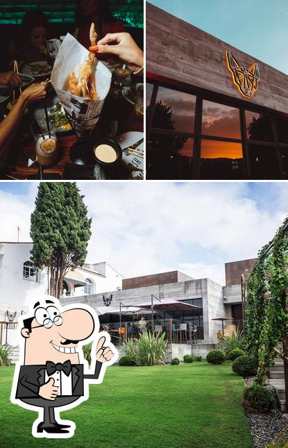 Mosh Fun Kitchen in Marbella - Restaurant reviews
