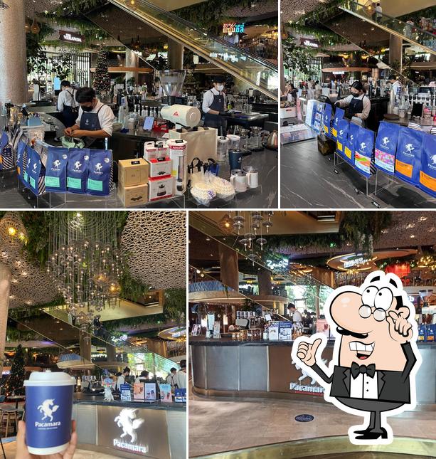 Pacamara Coffee Roasters (ICONSIAM), Bangkok - Restaurant reviews