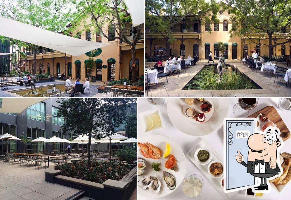 The Pav Bar & Courtyard, 262 Margaret St in Brisbane City - Restaurant ...