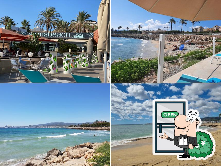 Anima Beach Palma, Palma de Mallorca - Menú del restaurante, precios y ...