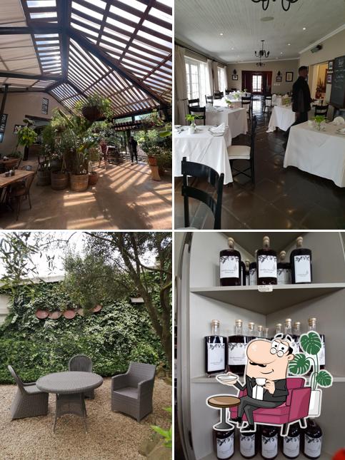 Blueberry Cafe - Restaurant menu, prices and reviews