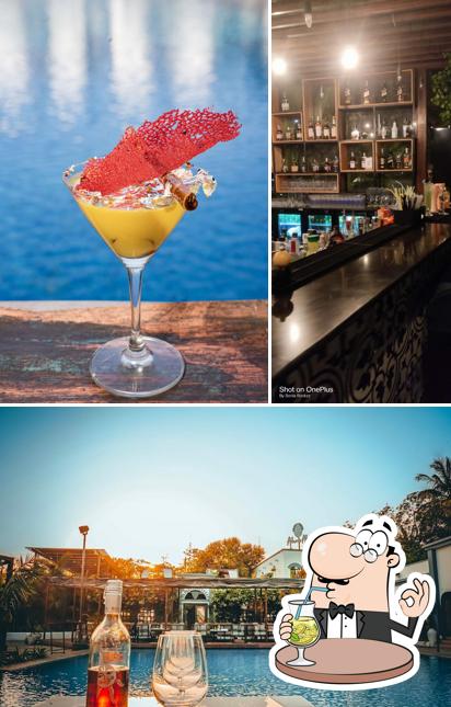 Adam’s Ale, Indore - Restaurant menu, prices and reviews