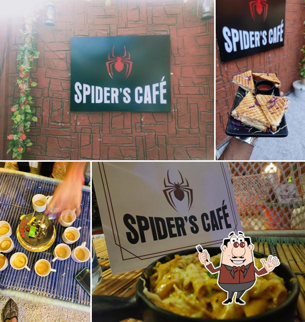 Spider's cafe, Jaipur - Restaurant reviews