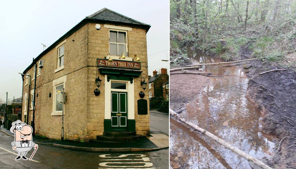 Thorn Tree Inn, Belper - Restaurant menu, prices and reviews