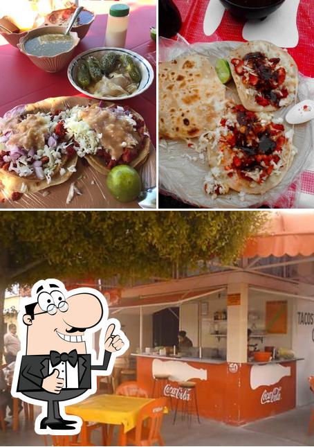 Tacos Gera Adobada restaurant, Los Mochis - Restaurant reviews