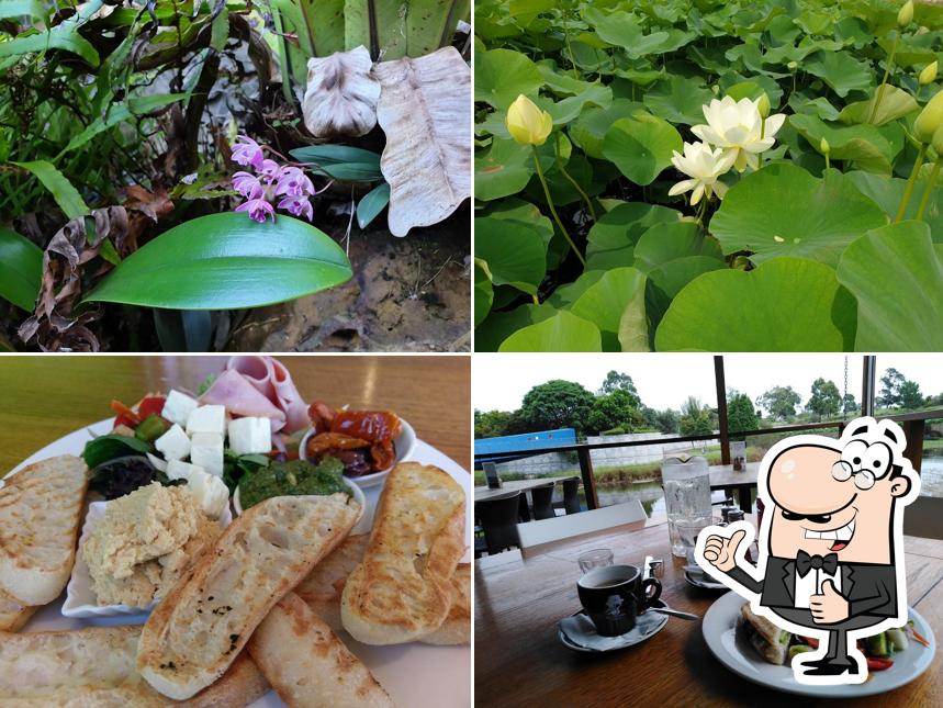 Waterfall Cafe in Kariong - Restaurant menu and reviews