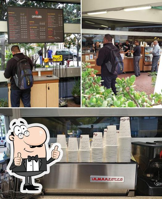 Caffe Calabria Coffee Cart, La Mesa - Restaurant menu, prices and reviews