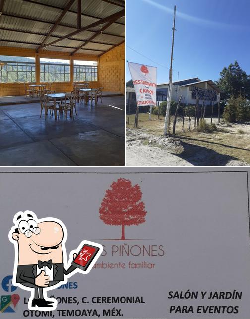 LOS PIÑONES restaurant, San Pedro Arriba - Restaurant reviews