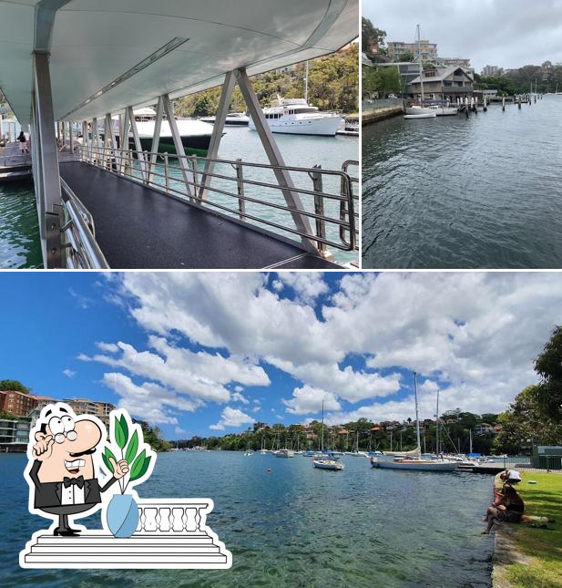 Cafe Monstera in Mosman - Restaurant menu and reviews
