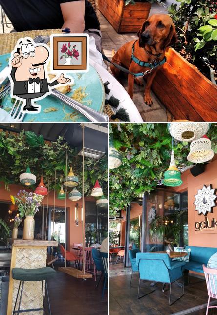 Geluk, Ilioupoli - Restaurant reviews