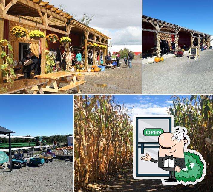 Dixie Orchards in Caledon - Restaurant reviews