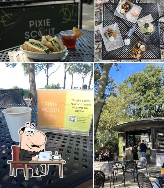 Pixie Scout Canteen, New York City - Restaurant menu, prices and reviews
