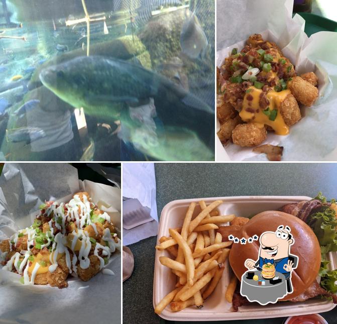 Safari Kitchen, 2920 Zoo Dr in San Diego - Restaurant menu and reviews