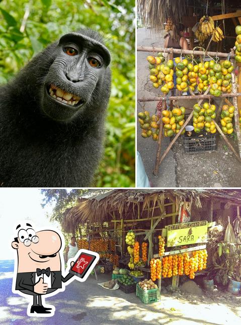 El Frutal Sara, Quebrada Honda - Restaurant menu, prices and reviews