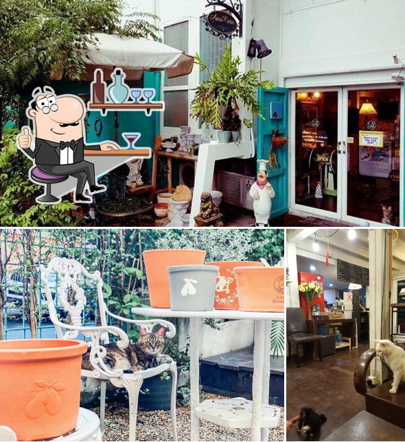 CatNip Cafe, Bangkok - Restaurant reviews