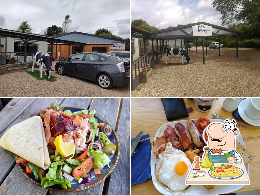 The Grazing Cow, Honiton - Restaurant menu, prices and reviews