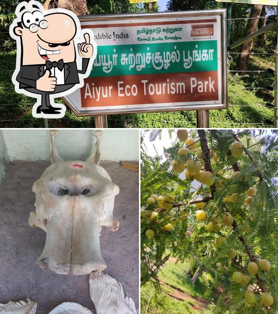 Aiyyur Eco Tourism and Management Centre, Hanumanthapuram - Restaurant ...