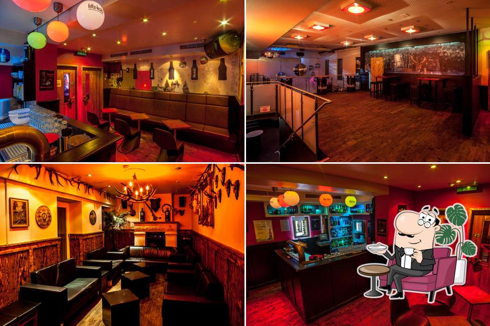 Platzhirsch pub & Bar, Hamburg