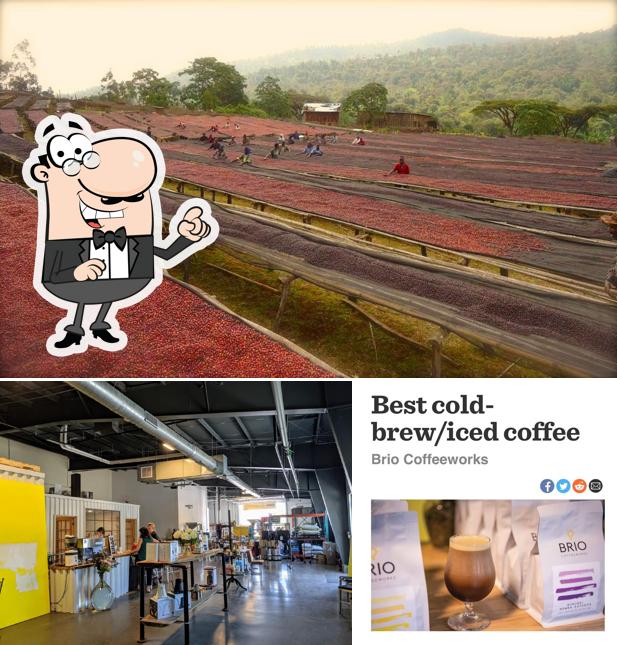 Brio Coffeeworks, Burlington - Restaurant menu, prices and reviews