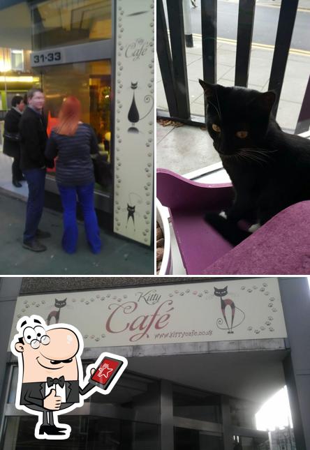 Kitty Café in Nottingham - Restaurant reviews