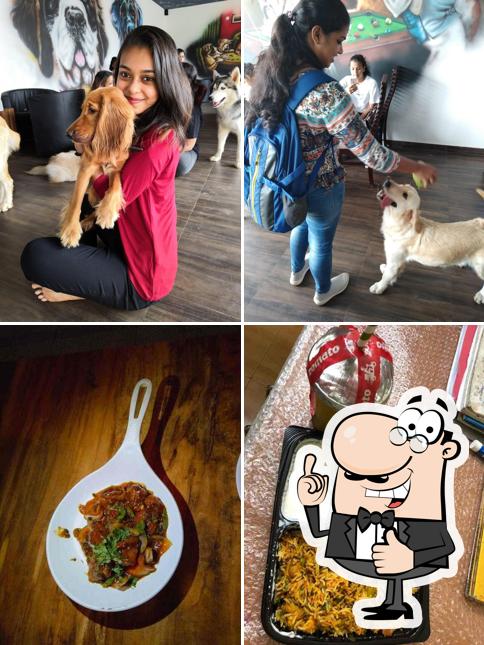 K9 Restro, Mangaluru - Restaurant reviews