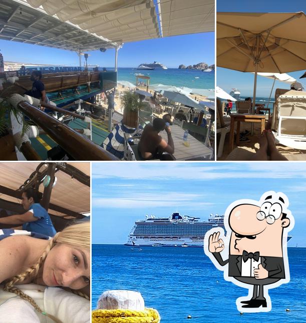 The Sand Bar, Cabo San Lucas - Restaurant menu, prices and reviews
