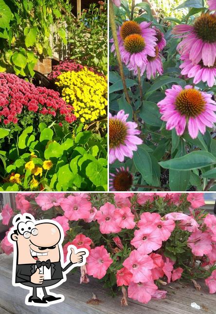 Elmer Gardens in Elmer