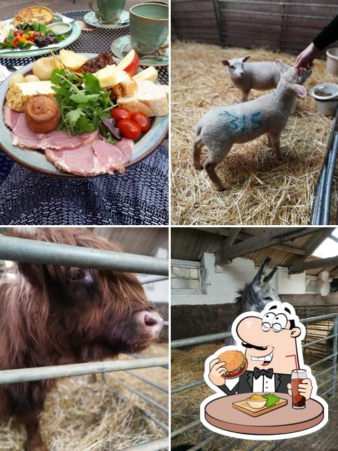 Lizzie’s Farm, Bromsgrove - Restaurant menu, prices and reviews