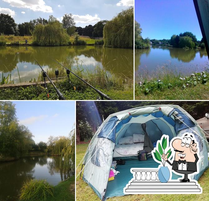 Pool Bridge Farm - Wild Swimming, Wellbeing & Camping in York ...