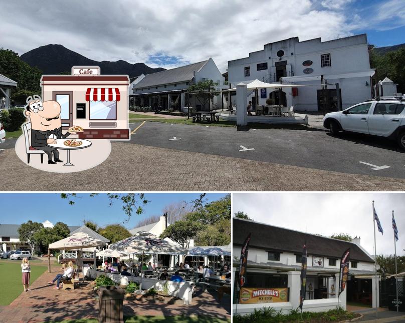 The Toad in the Village, Cape Town - Restaurant menu, prices and reviews